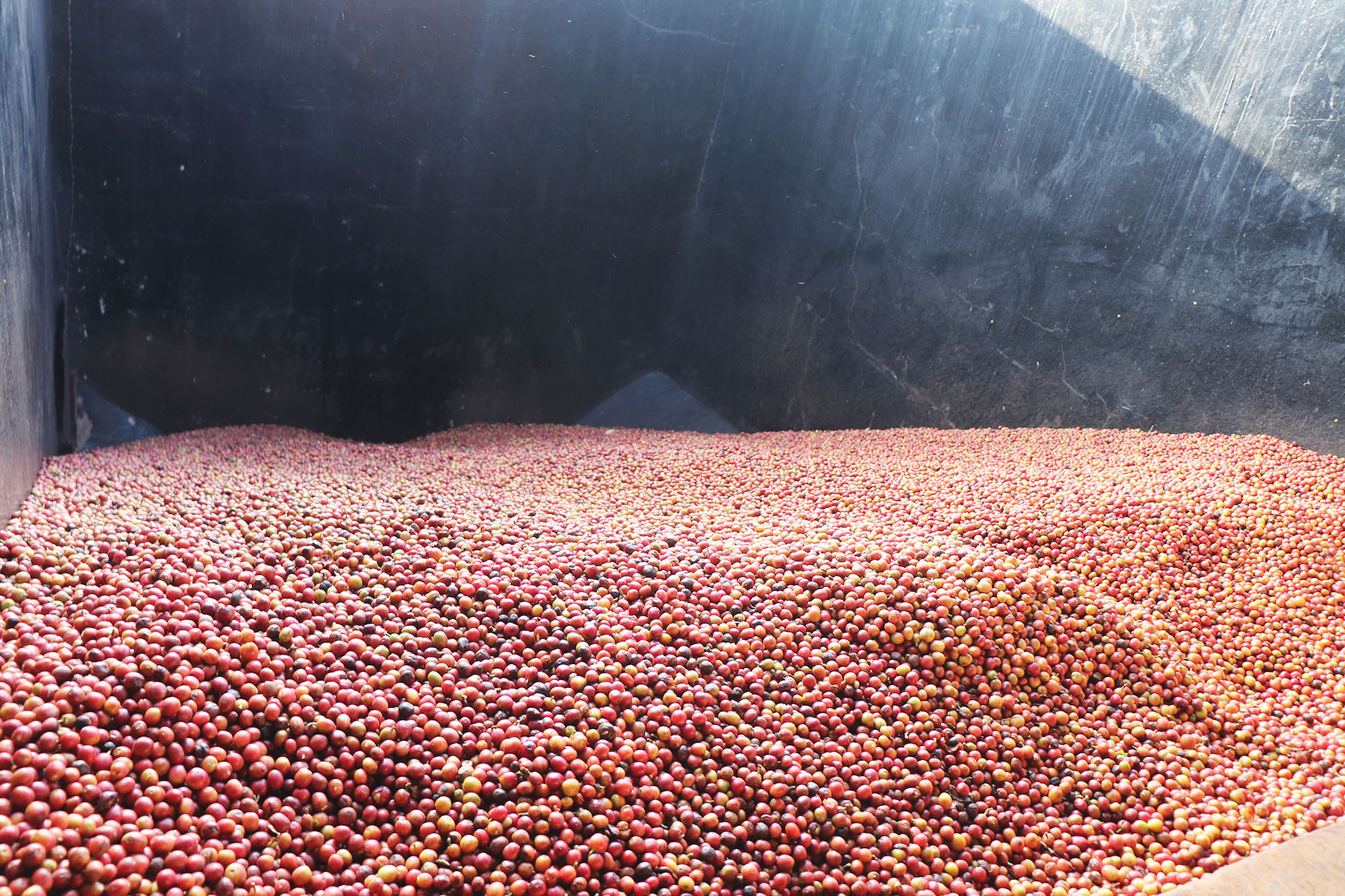 認識上登 | 上登國際